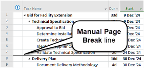 Inserting Manual Pages Breaks in Microsoft Project